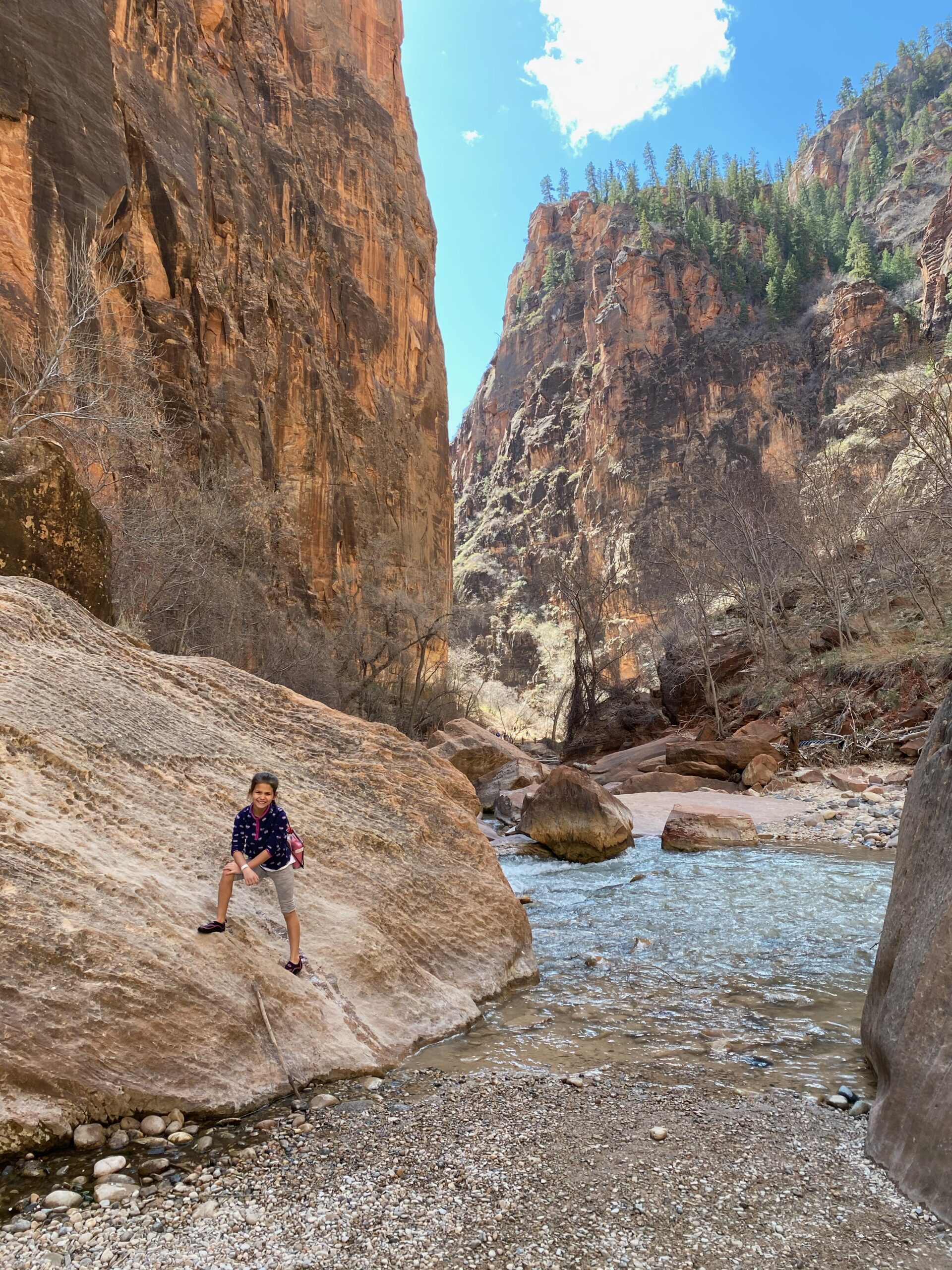 Zion National Park: A Perfect Day with Kids - Mumbling Mommy